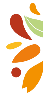 Cepasco – Spécialiste Français des épices et aromates